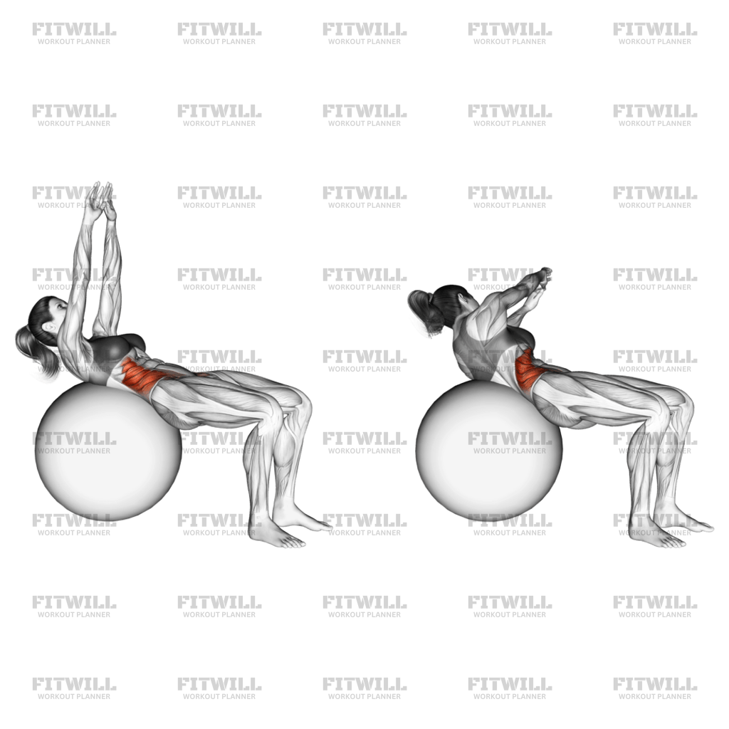 Russian Twist (on Stability Ball Arms Straight): Exercise Guide, Video ...