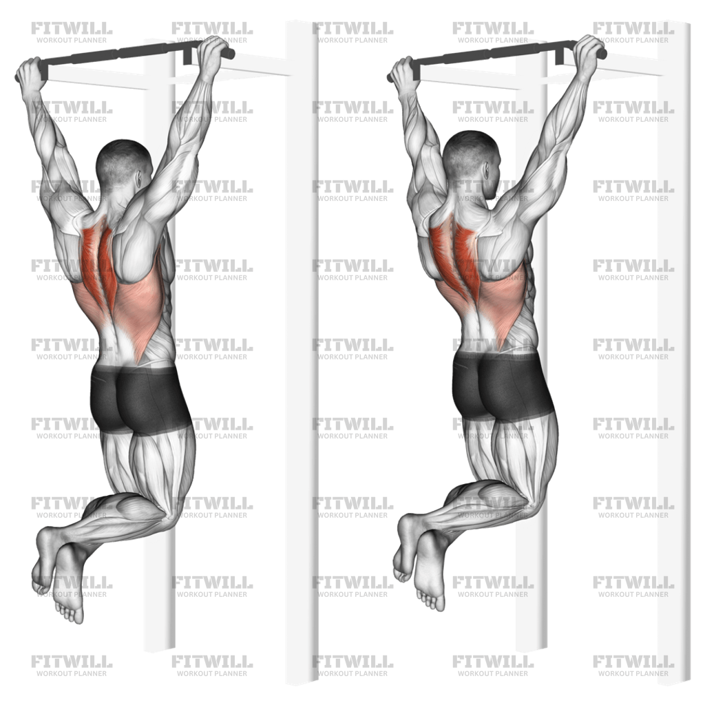 Scapular Pull-Up: Guia de Exercícios, Vídeo, Técnicas, Benefícios, Como ...