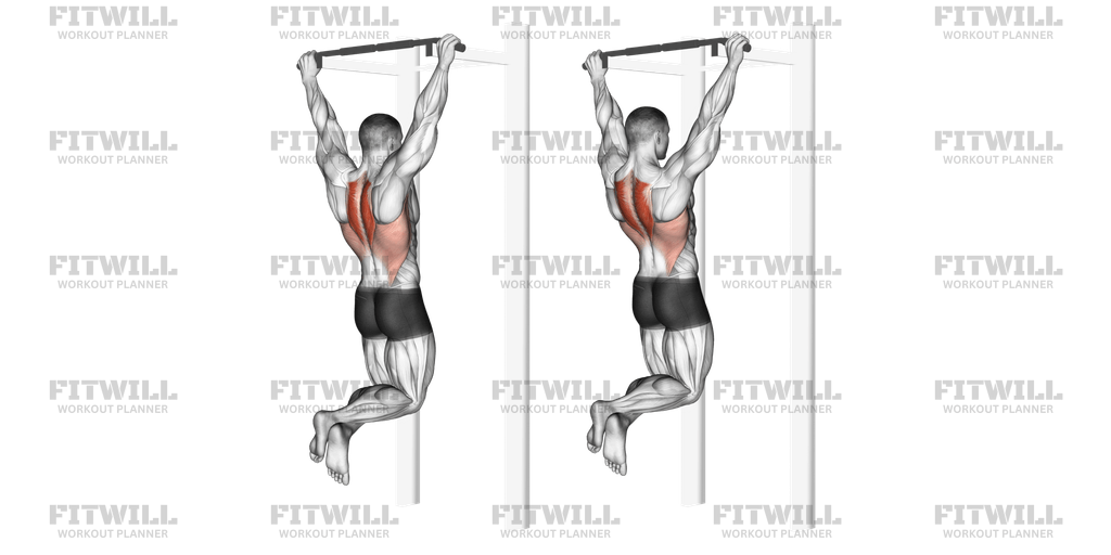 Scapular Pull-Up: Exercise Guide, Video, Techniques, Benefits, How to ...