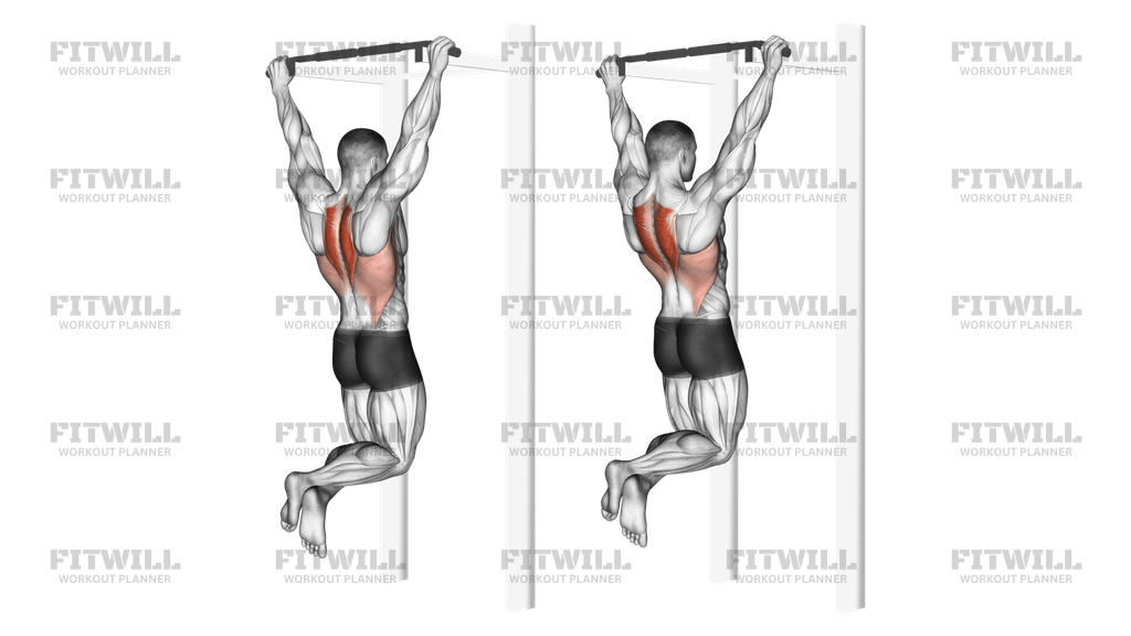 Scapular Pull-Up: Exercise Guide, Video, Techniques, Benefits, How to ...