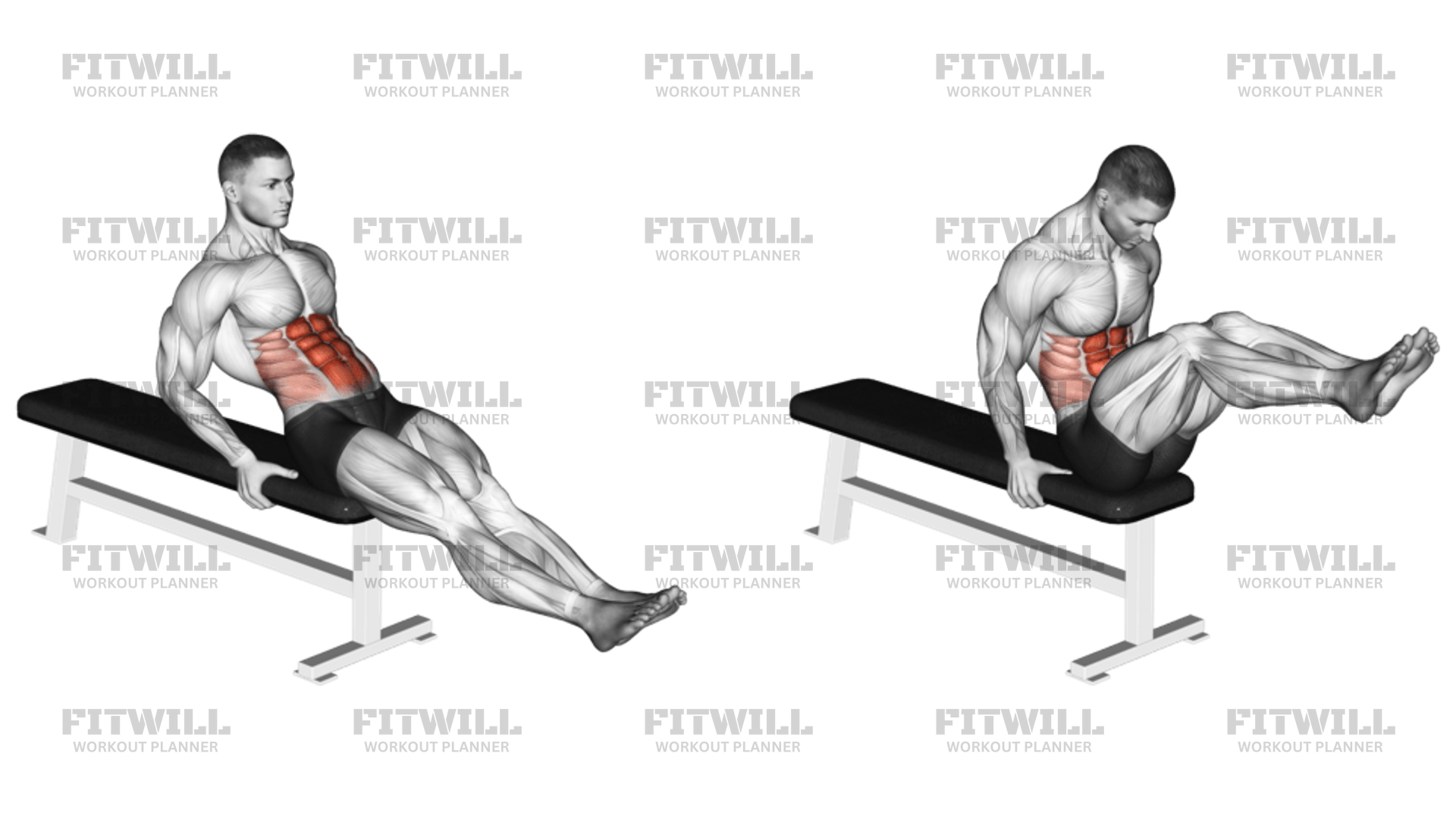 Seated Leg Raise: Exercise Guide, Video, Techniques, Benefits, How to ...