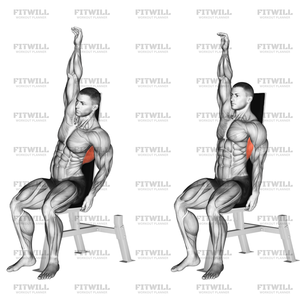 Seated Lower Back Stretch: Exercise Guide, Video, Techniques, Benefits ...