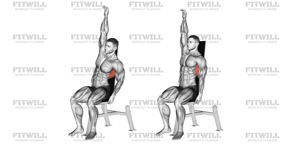 Seated Lower Back Stretch: Exercise Guide, Video, Techniques, Benefits ...