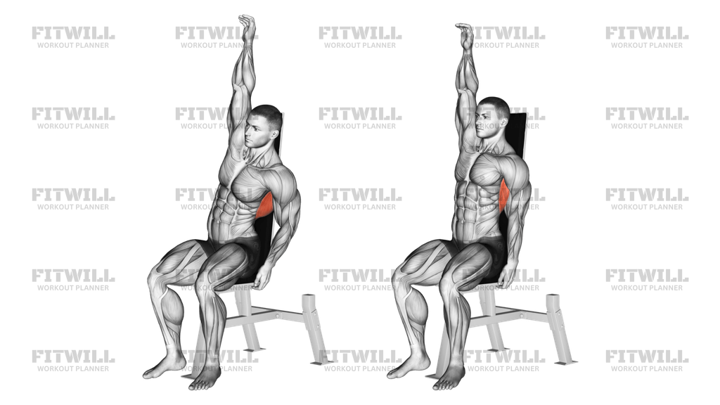 Seated Lower Back Stretch: Exercise Guide, Video, Techniques, Benefits, How to, Muscles Worked ...