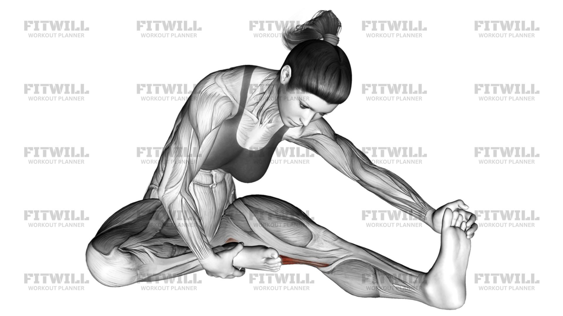 Seated Single Leg Hamstring Stretch Guide Techniques Benefits How To Muscles Worked Tips