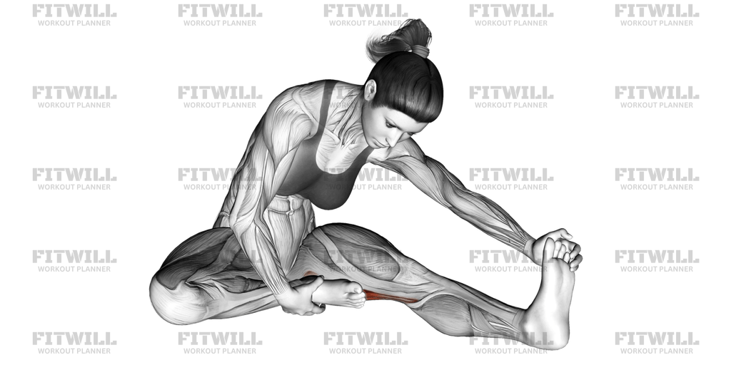Seated Single Leg Hamstring Stretch: Exercise Guide, Video, Techniques ...