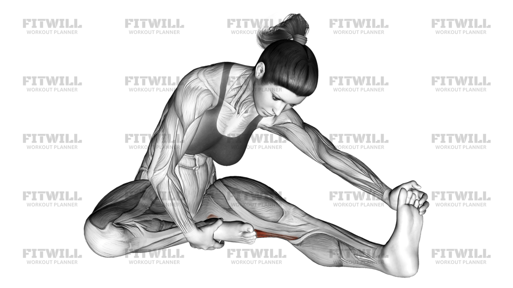 Seated Single Leg Hamstring Stretch: Exercise Guide, Video, Techniques ...