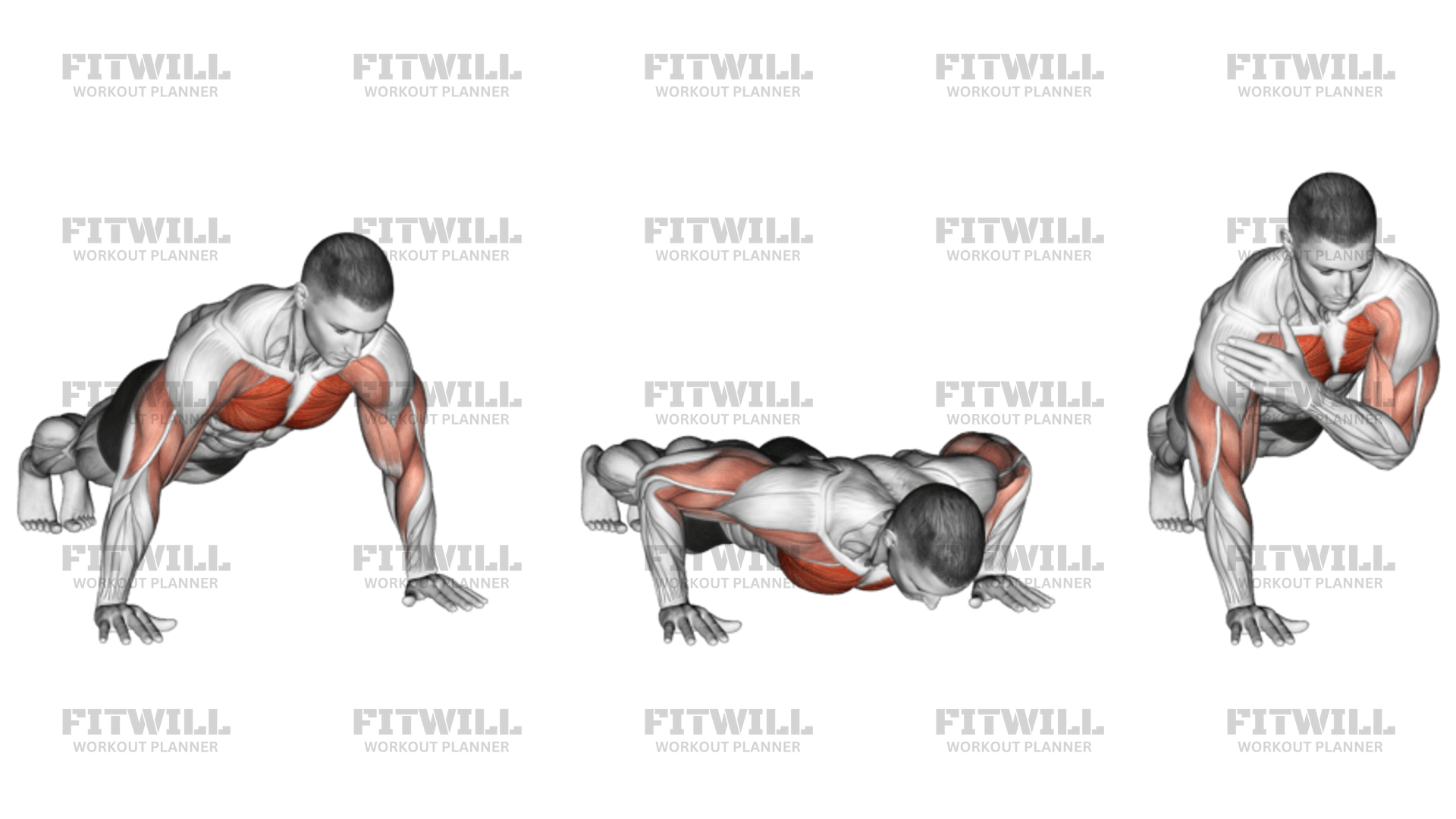 Flexión Con Toque De Hombro: Guía de Ejercicios, Video, Técnicas ...