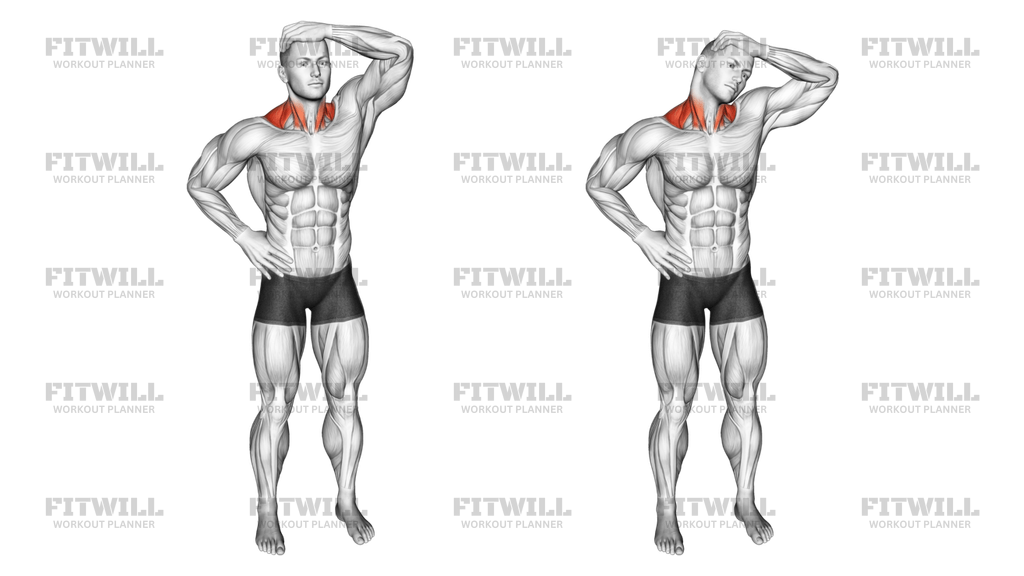 Side Neck Stretch: Exercise Guide, Video, Techniques, Benefits, How to, Muscles Worked, Tips ...