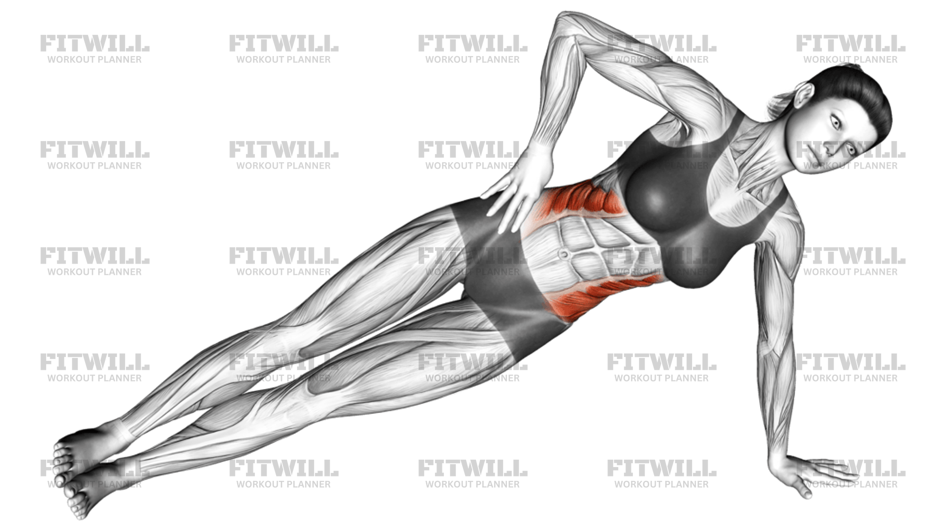 Side Plank Straight Arm: Exercise Guide, Video, Techniques, Benefits ...