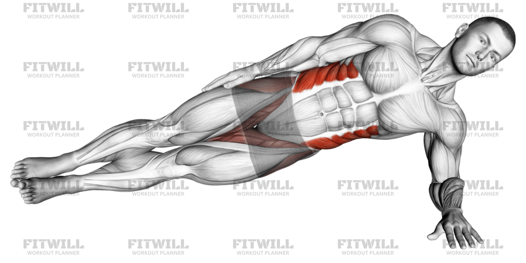 Prancha Lateral: Guia de Exercício, Vídeo, Técnicas, Benefícios, Como ...