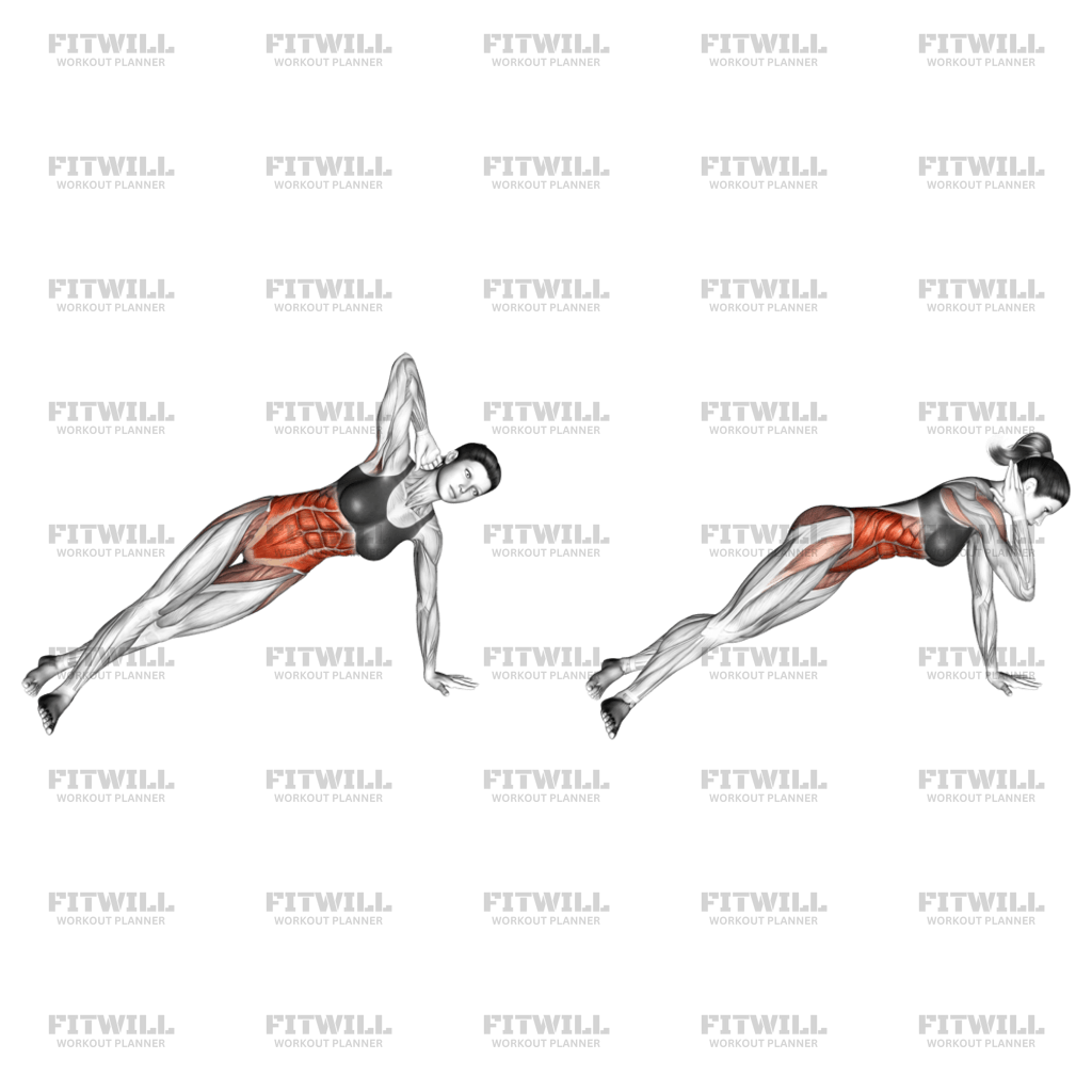 Side Stretch Crunch: Exercise Guide, Techniques, Benefits, How to ...