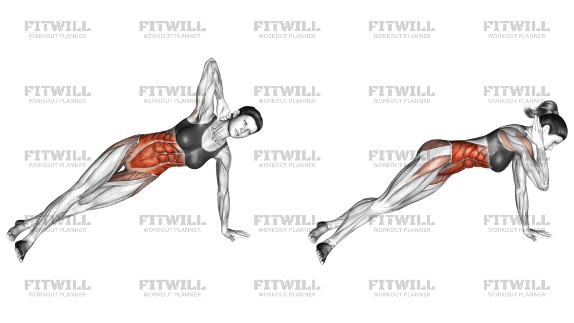 Crunch De Estiramiento Lateral: Guía de Ejercicios, Técnicas ...