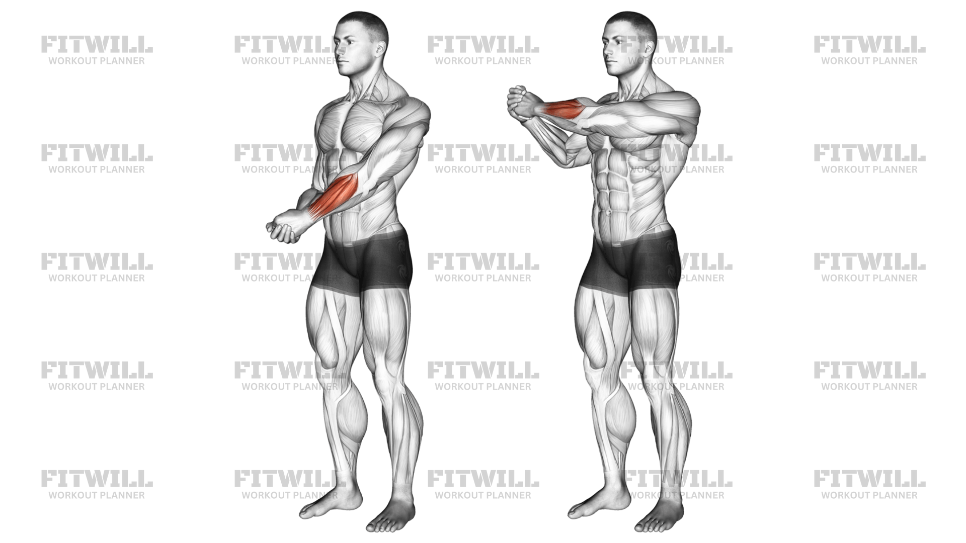 Side Wrist Pull Stretch: Exercise Guide, Video, Techniques, Benefits ...