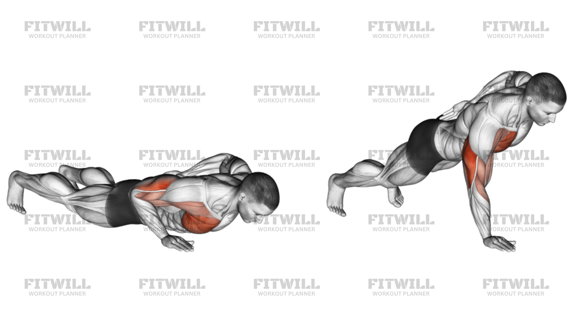 Single Arm Push-up: Exercise Guide, Video, Techniques, Benefits, How to ...