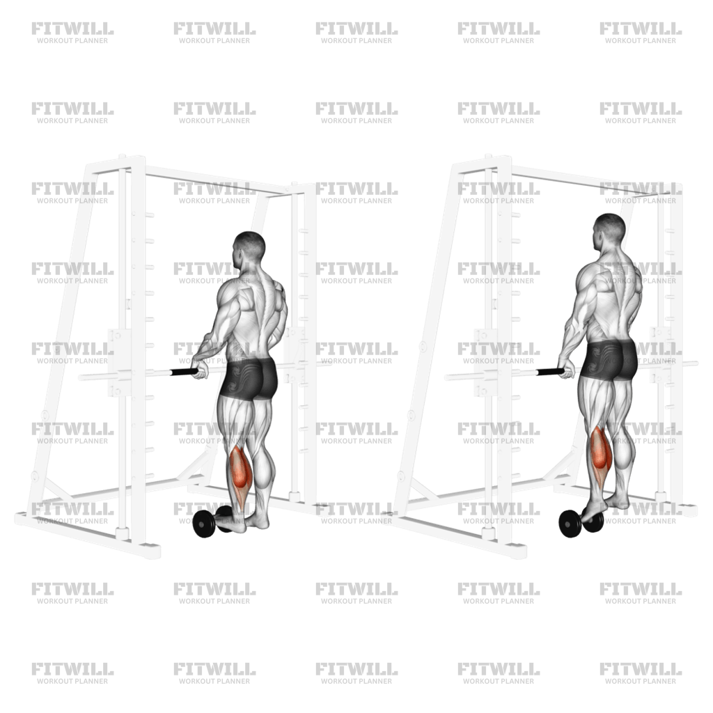 Single Leg Calf Raise (on A Dumbbell): Exercise Guide, Techniques ...