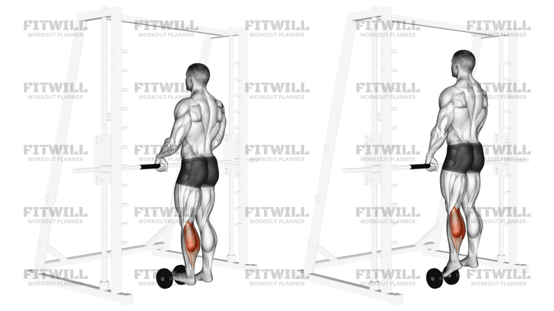 Single Leg Calf Raise (on A Dumbbell): Exercise Guide, Techniques ...