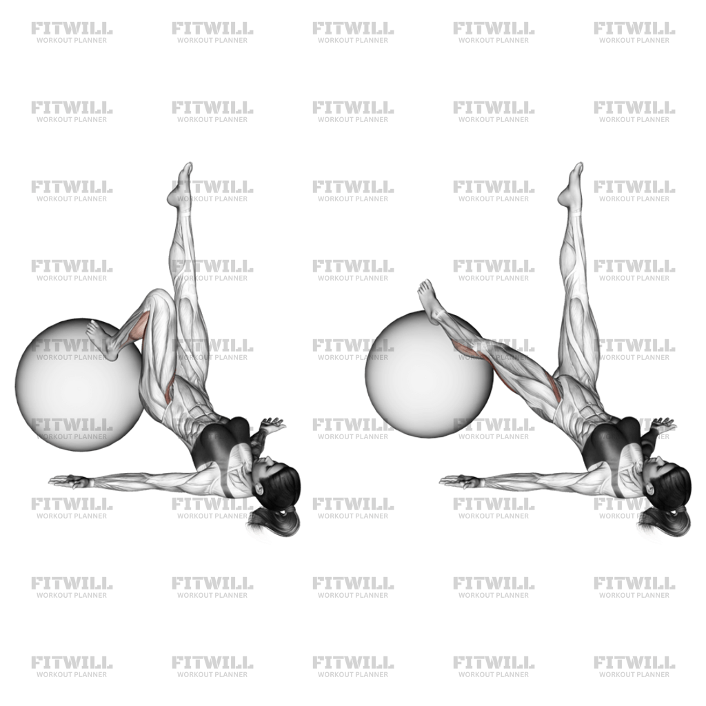 Single Leg Extension (on Stability Ball): Exercise Guide, Video ...