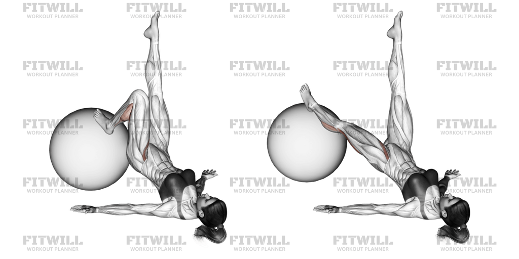 Single Leg Extension (on Stability Ball): Exercise Guide, Video ...