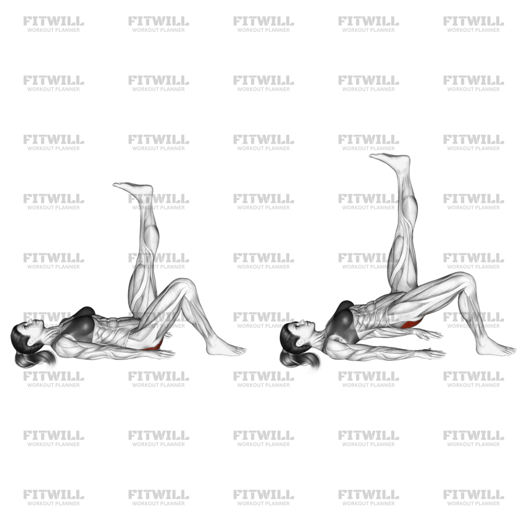 Single Leg Hip Bridge (straight Leg): Exercise Guide, Techniques ...
