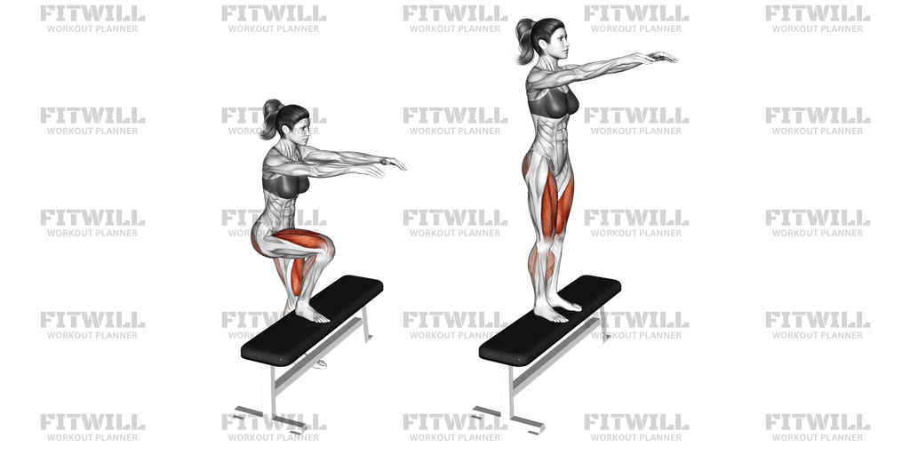 Single Leg Step-Up: Exercise Guide, Techniques, Benefits, How to ...