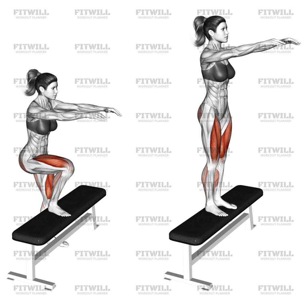 Single Leg Step-up: Exercise Guide, Techniques, Benefits, How to ... Single Leg Step-up: Exercise Guide, Techniques, Benefits, How to ...