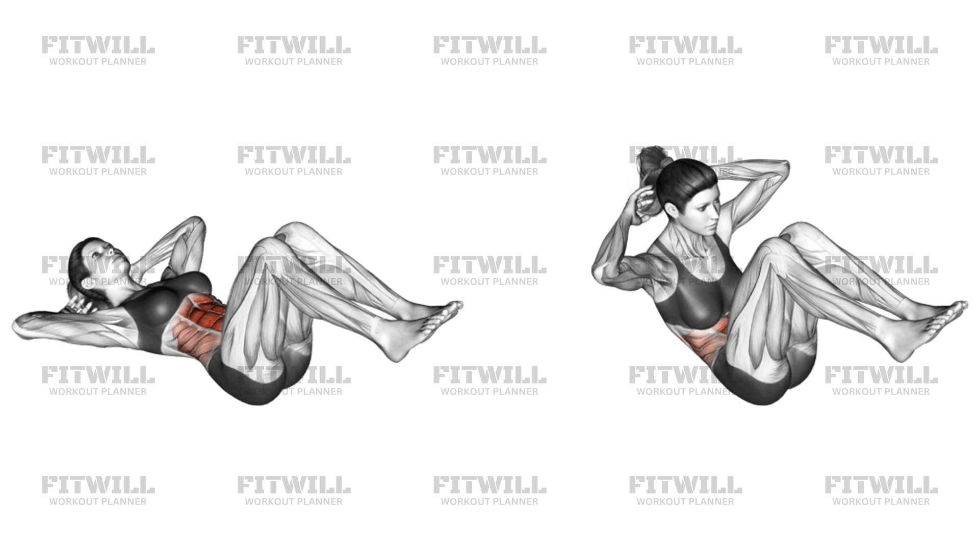 Sit-Up: Exercise Guide, Video, Techniques, Benefits, How to, Muscles ...