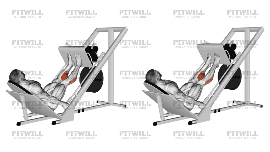 Sled 45° Calf Press: Exercise Guide, Video, Techniques, Benefits, How ...
