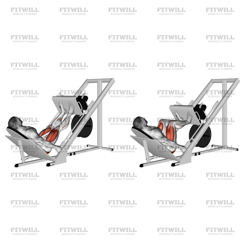 Sculpt Powerful Legs Ultimate Lower Body Workout With Machines
