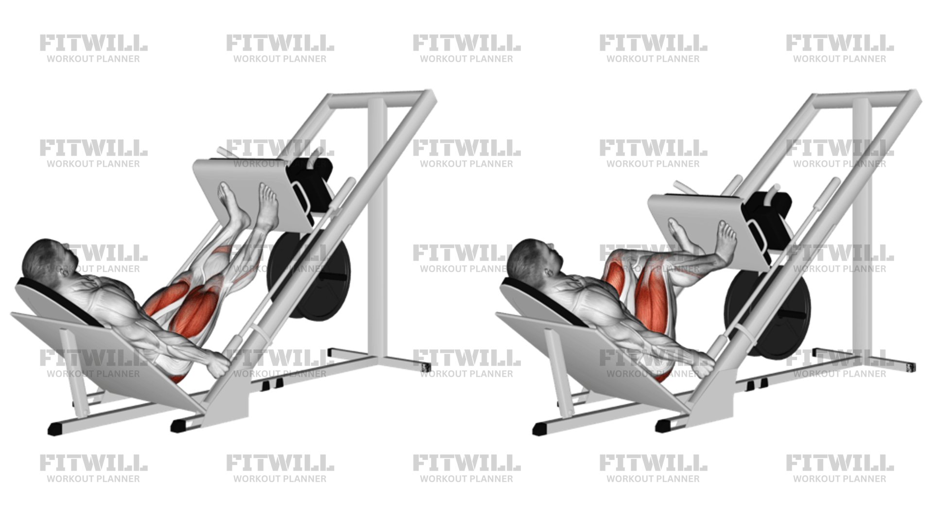 Sled 45° Leg Press: Exercise Guide, Video, Techniques, Benefits, How to ...