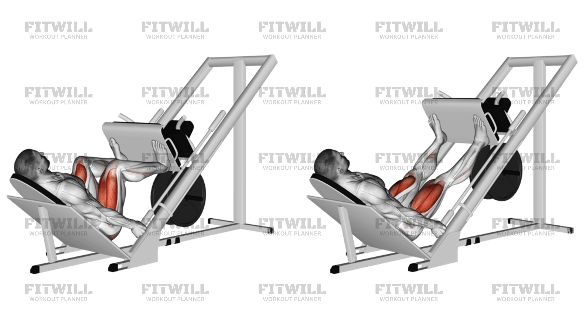 Powerful Lower Body Workout: Build Strength & Muscle with Machines ...