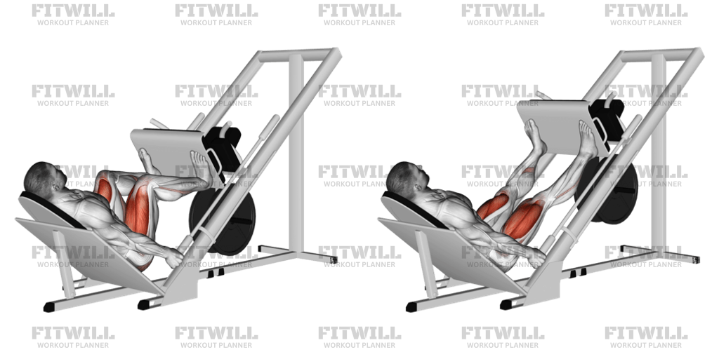 Powerful Lower Body Workout: Build Strength & Muscle with Machines ...