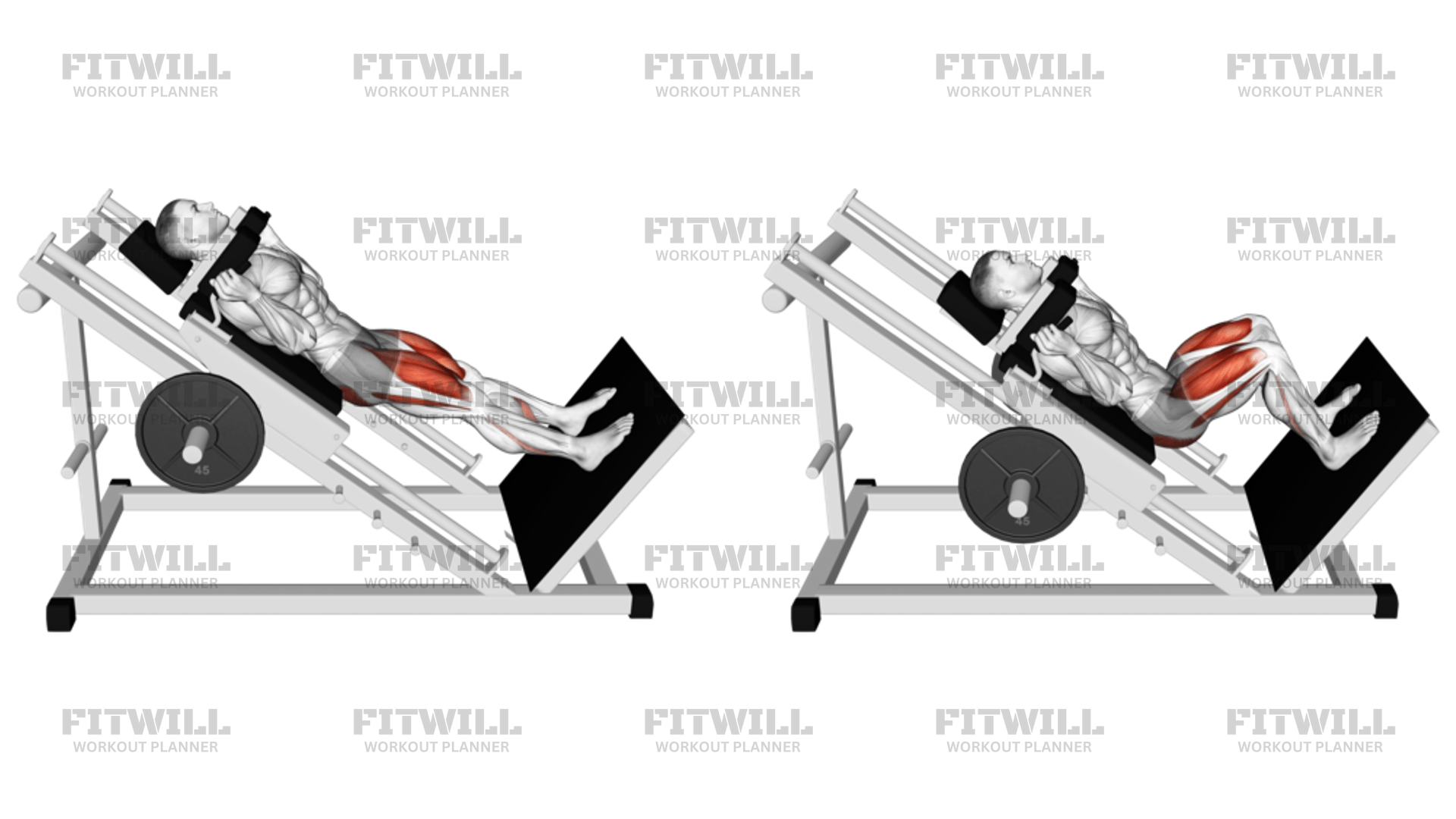 Sentadilla Hack En Trineo: Guía de Ejercicios, Video, Técnicas ...