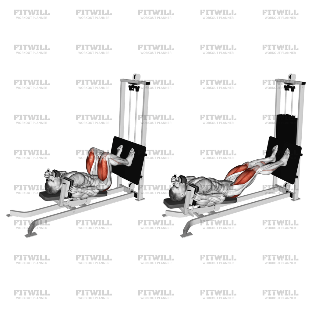 Sled Lying Squat: Exercise Guide, Video, Techniques, Benefits, How to ...