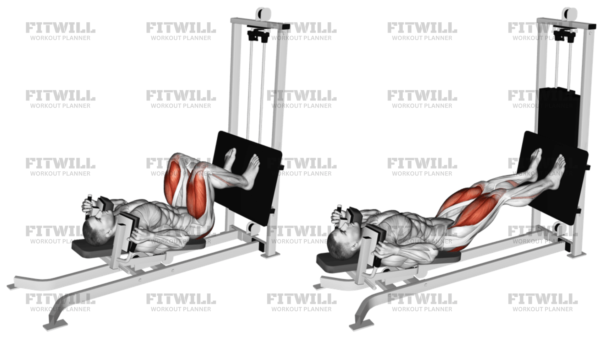 Sled Lying Squat: Exercise Guide, Video, Techniques, Benefits, How to, Muscles Worked, Tips ...