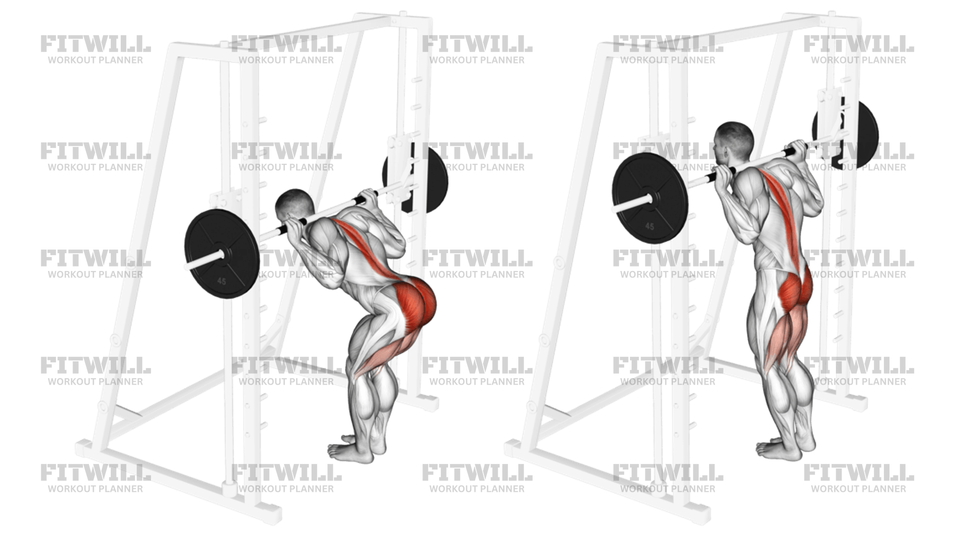 Smith Bent Knee Good Morning: Exercise Guide, Video, Techniques ...