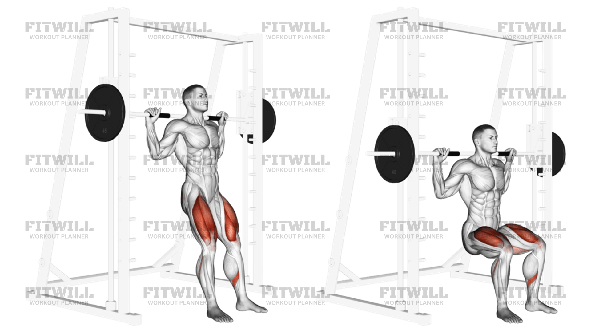 Smith Chair Squat: Exercise Guide, Video, Techniques, Benefits, How to, Muscles Worked, Tips ...