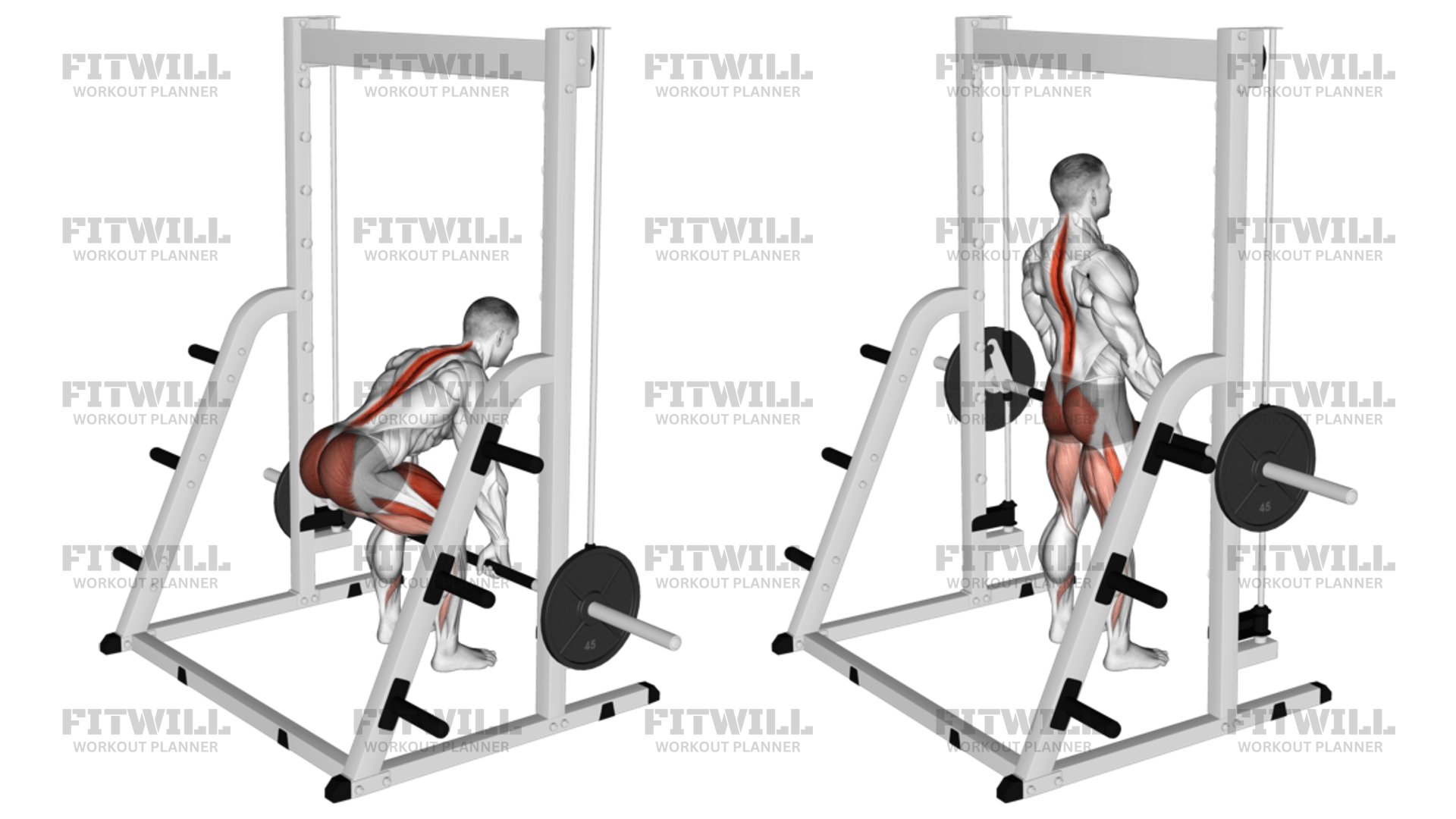 Smith Deadlift: Exercise Guide, Video, Techniques, Benefits, How to ...