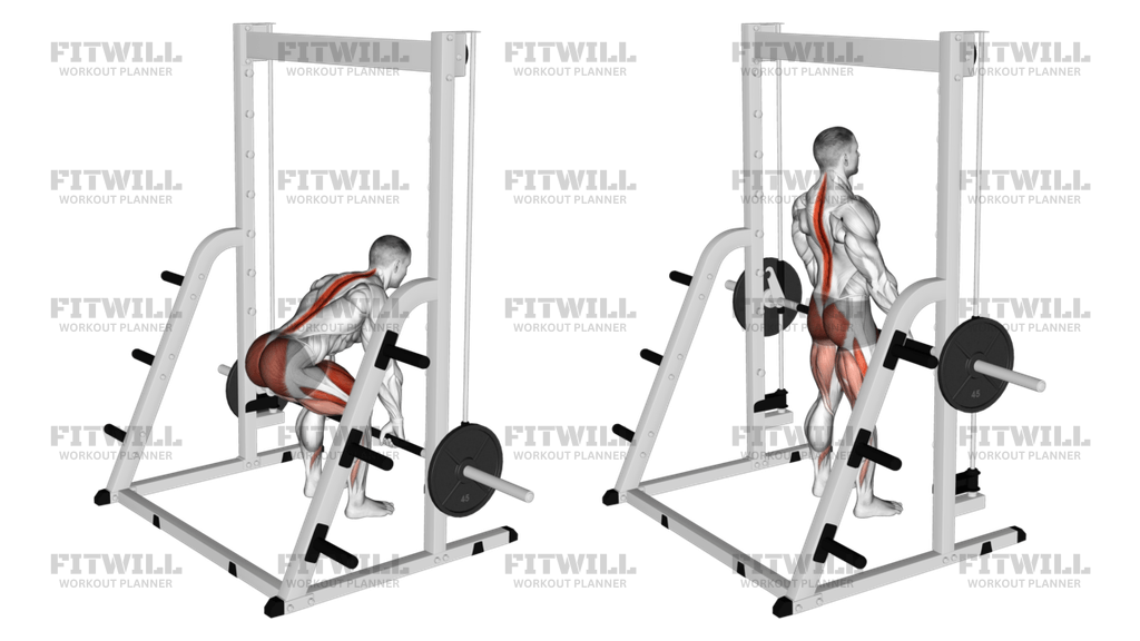 Smith Deadlift: Exercise Guide, Video, Techniques, Benefits, How to ...