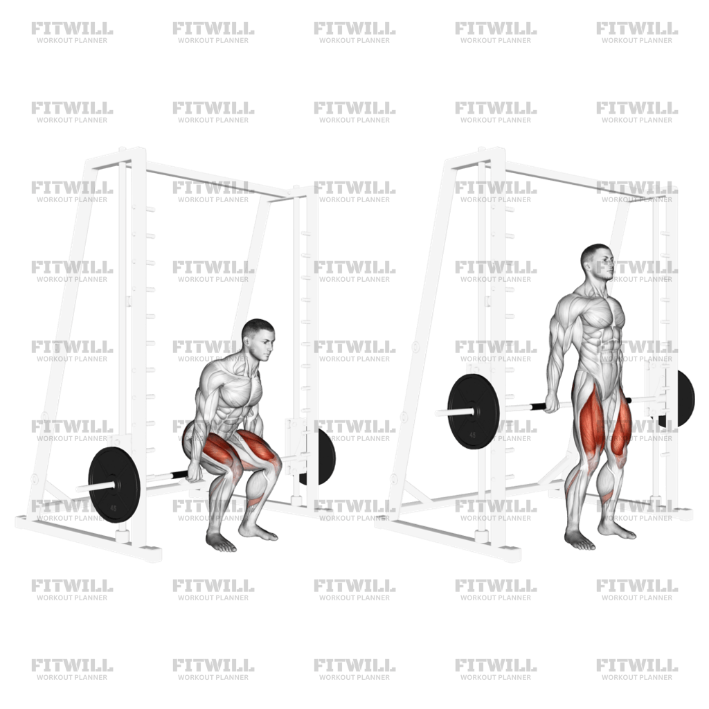 Smith Hack Squat: Exercise Guide, Video, Techniques, Benefits, How to, Muscles Worked, Tips ...
