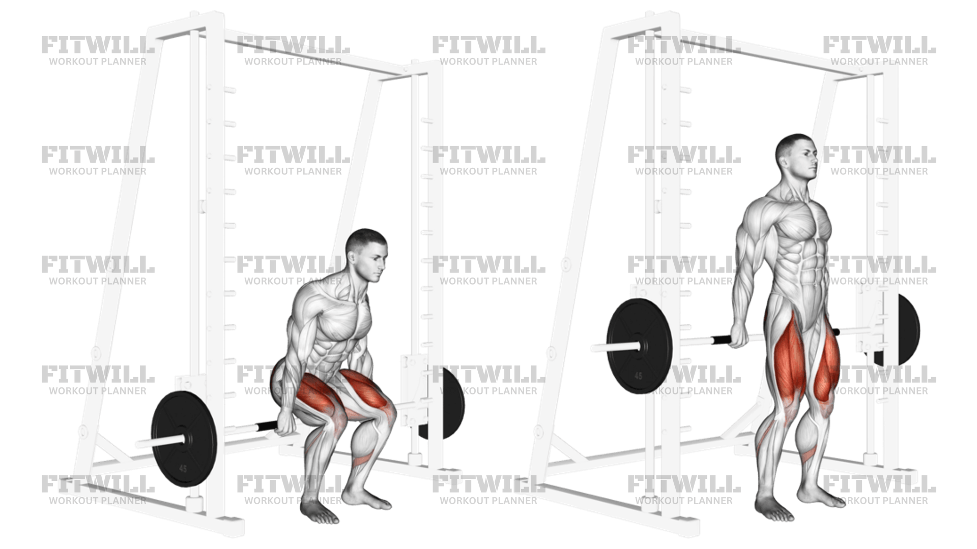 Smith Hack Squat: Exercise Guide, Video, Techniques, Benefits, How to, Muscles Worked, Tips ...