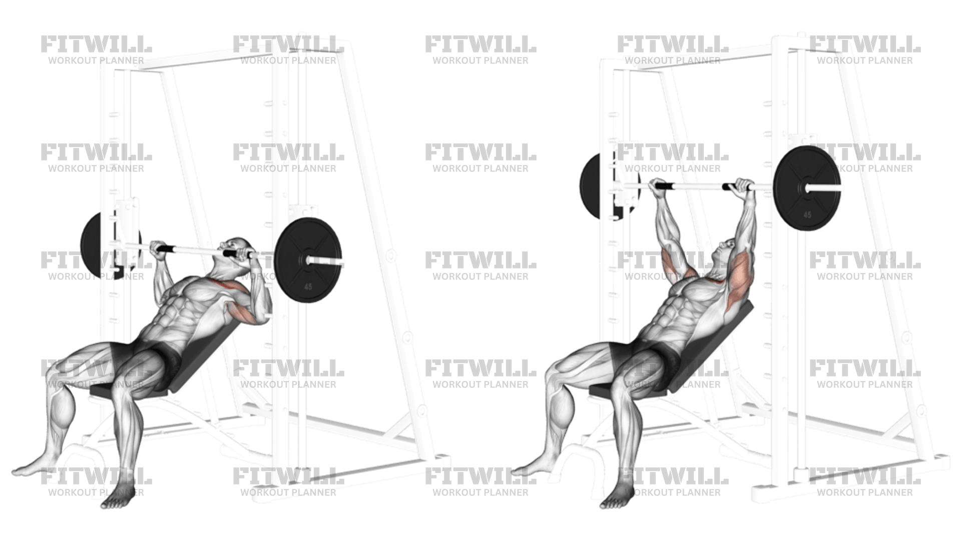Smith Incline Bench Press: Exercise Guide, Video, Techniques, Benefits ... Smith Incline Bench Press: Exercise Guide, Video, Techniques, Benefits ...