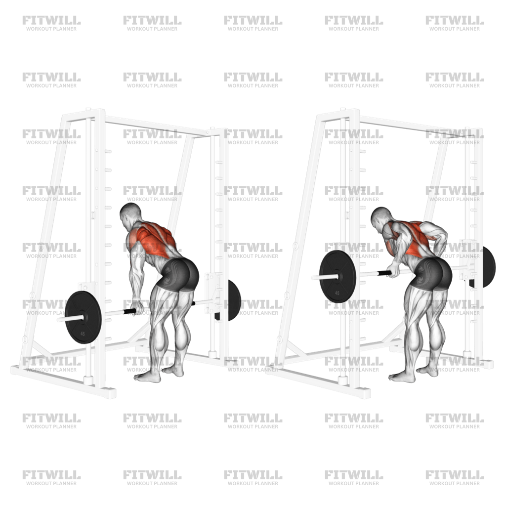 Smith Narrow Row Reverse Grip: Exercise Guide, Video, Techniques ...