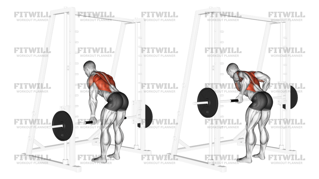 Smith Narrow Row Reverse Grip: Exercise Guide, Video, Techniques ...