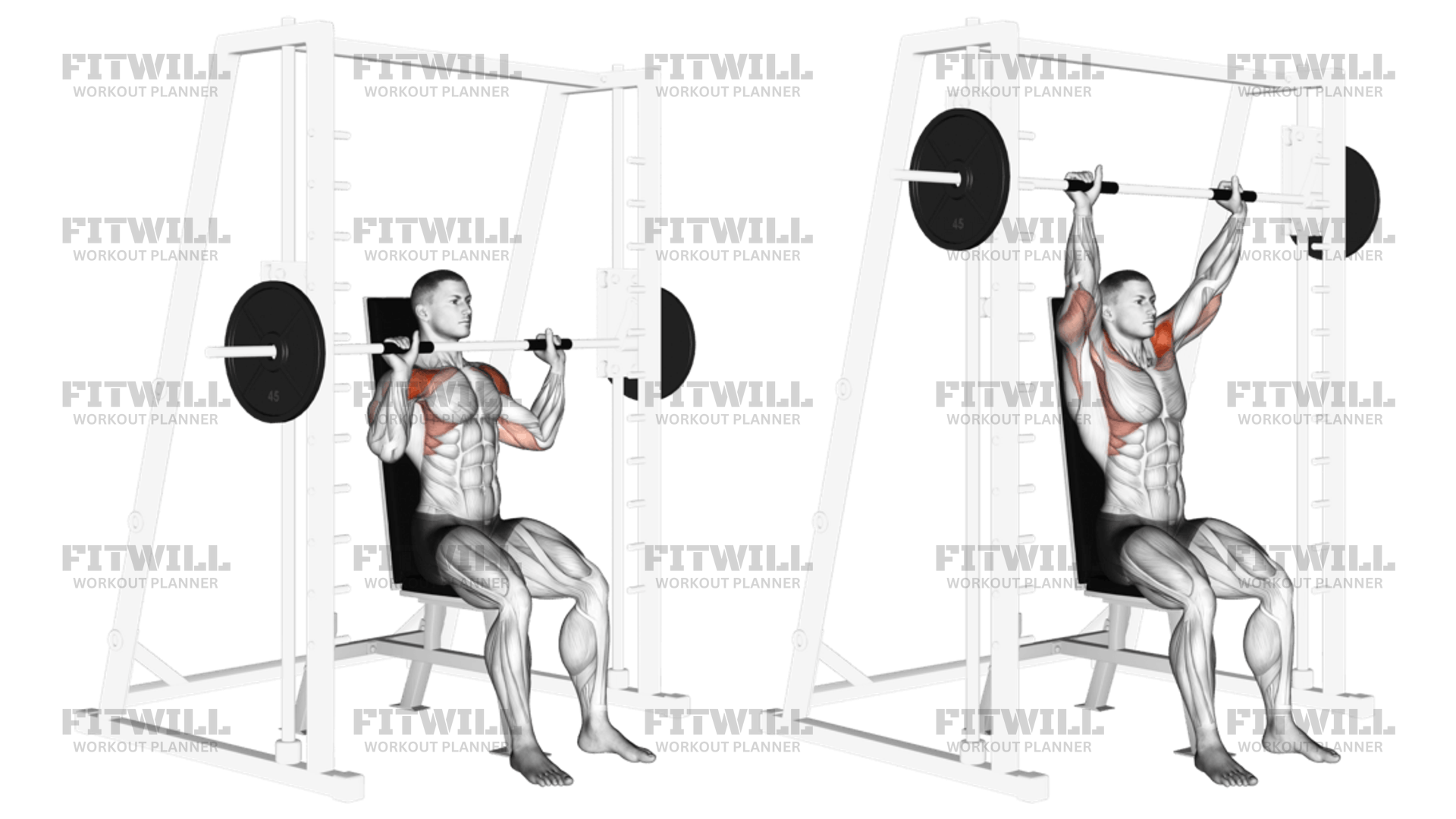 Ultimate Shoulder Sculpting Workout with Smith Machine and Dumbbells ...