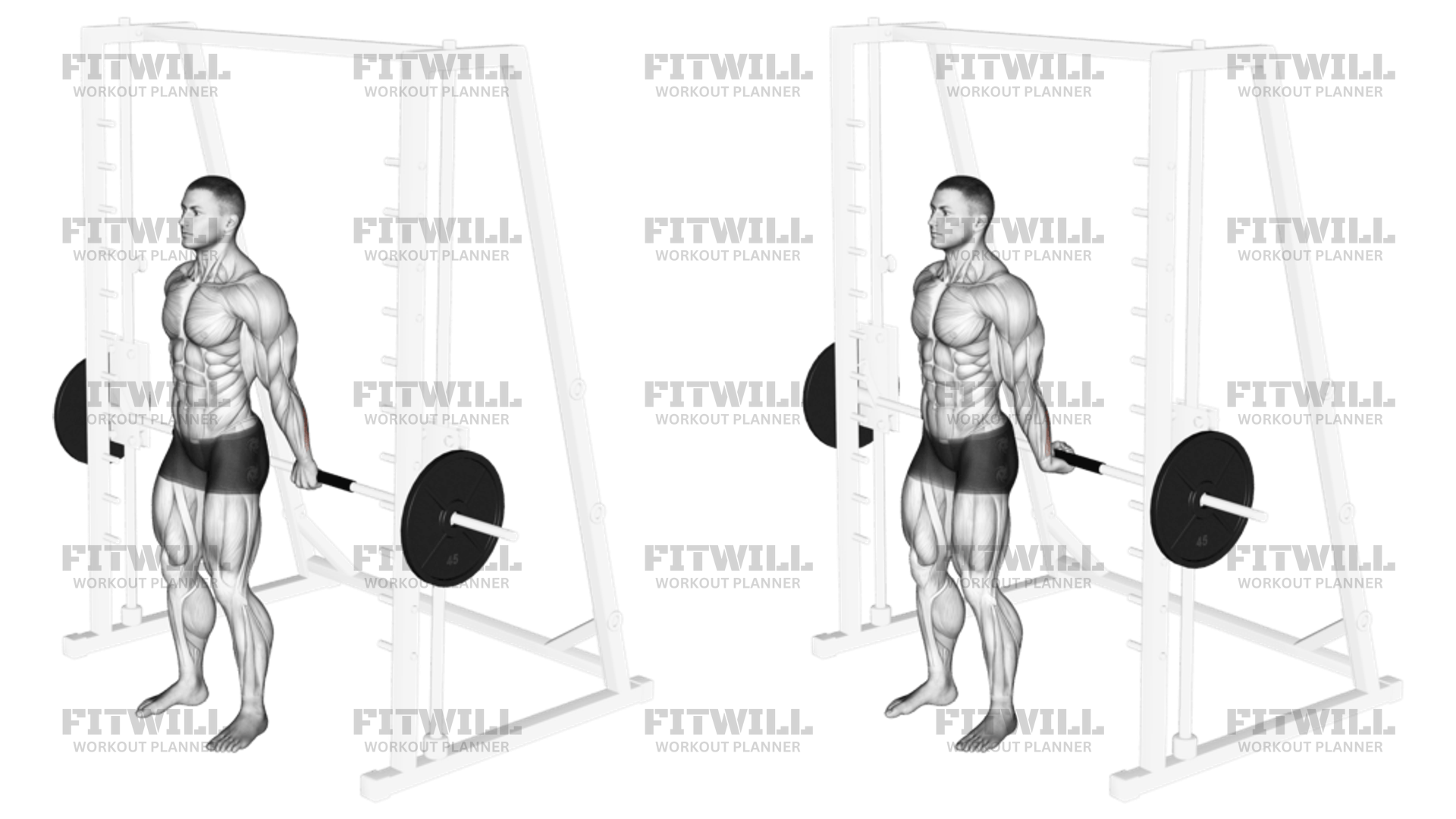 Smith Standing Back Wrist Curl: Exercise Guide, Techniques, Benefits ...