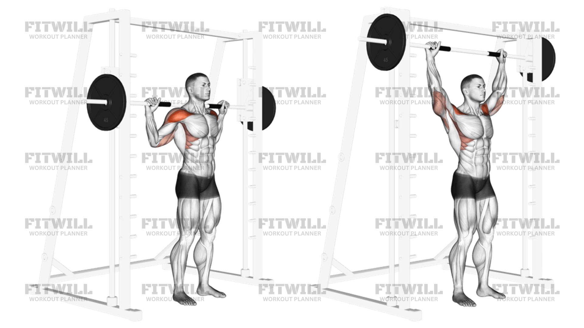 Smith Standing Behind Head Military Press: Exercise Guide, Techniques ...