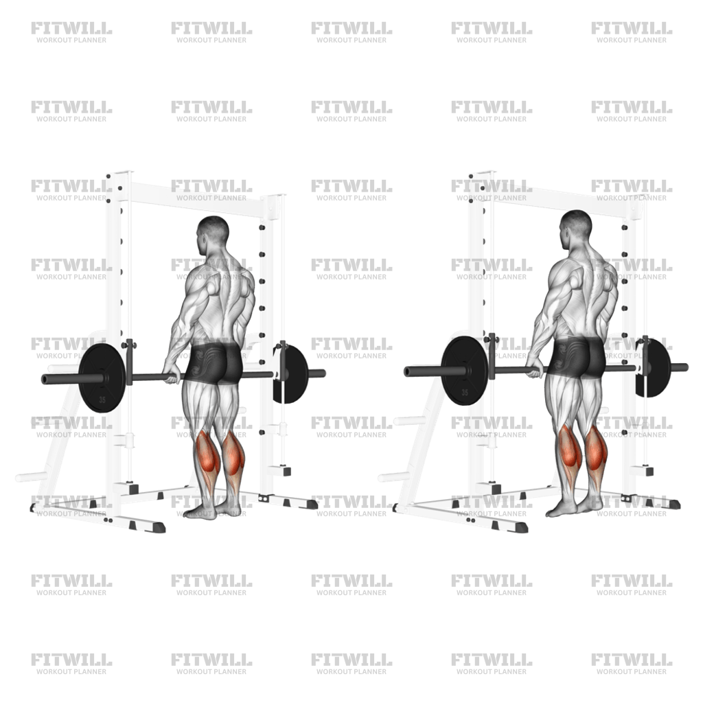 Smith Standing Leg Calf Raise: Exercise Guide, Techniques, Benefits ...