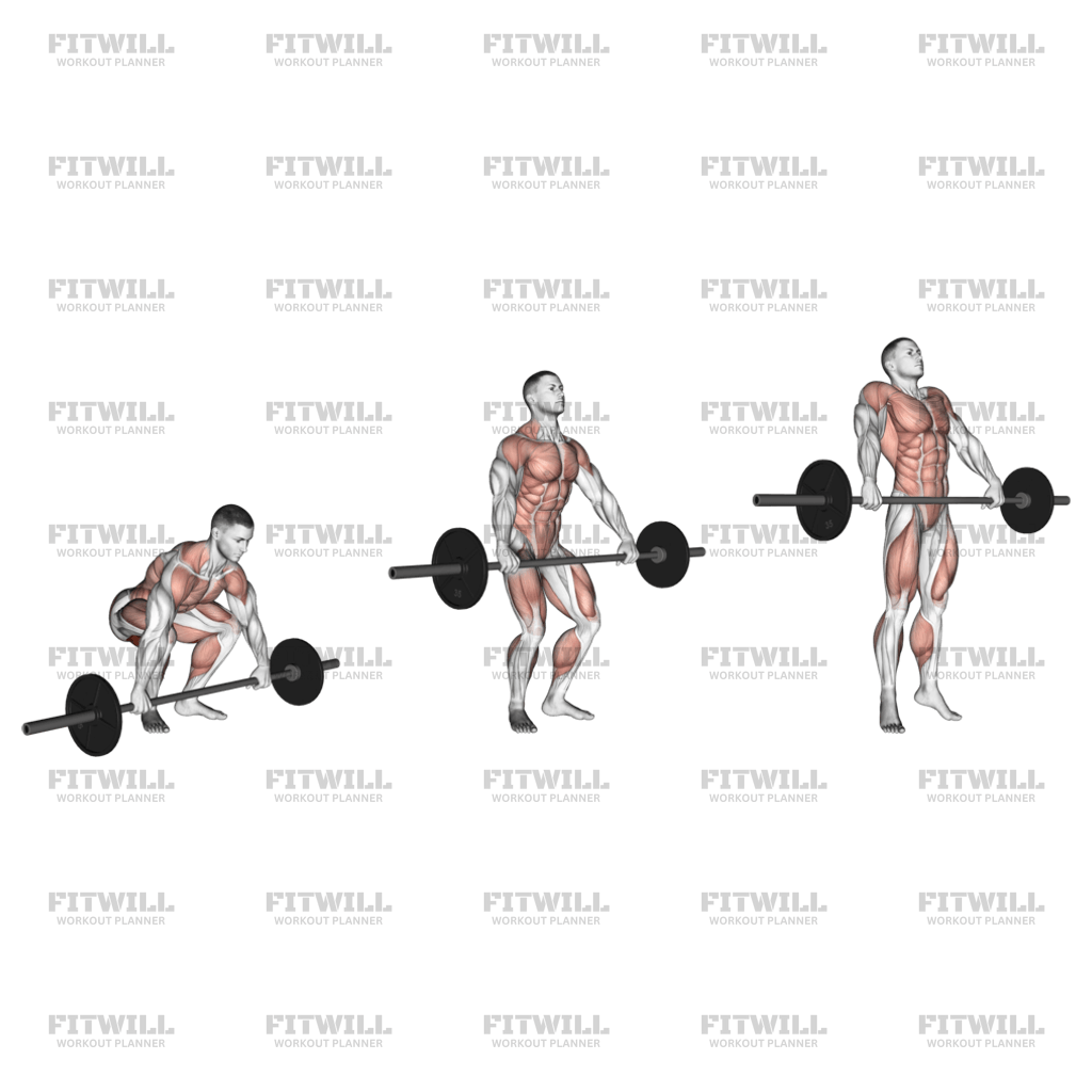Snatch Pull: Exercise Guide, Video, Techniques, Benefits, How to ...