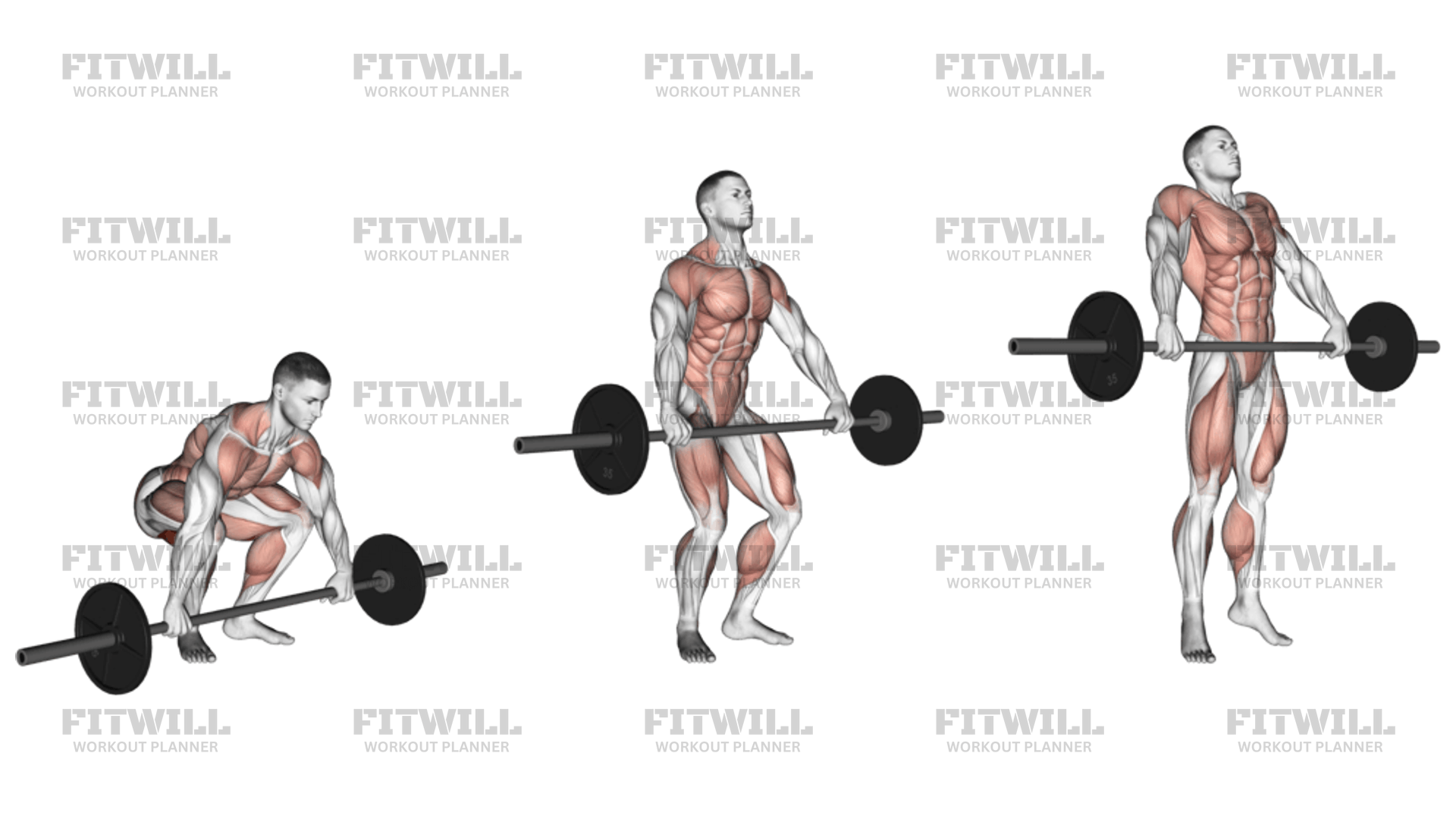 Snatch Pull: Exercise Guide, Video, Techniques, Benefits, How to ...